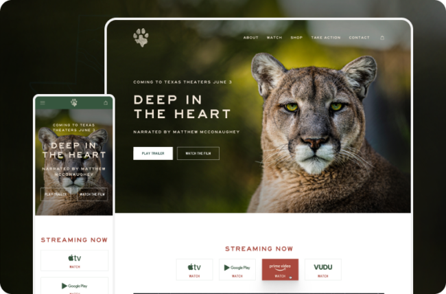Top Web Design & Development Company Dallas/Plano | Web Loft Designs
