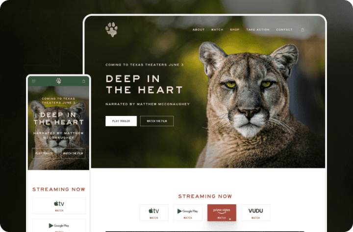 Top Web Design & Development Company Dallas/Plano | Web Loft Designs