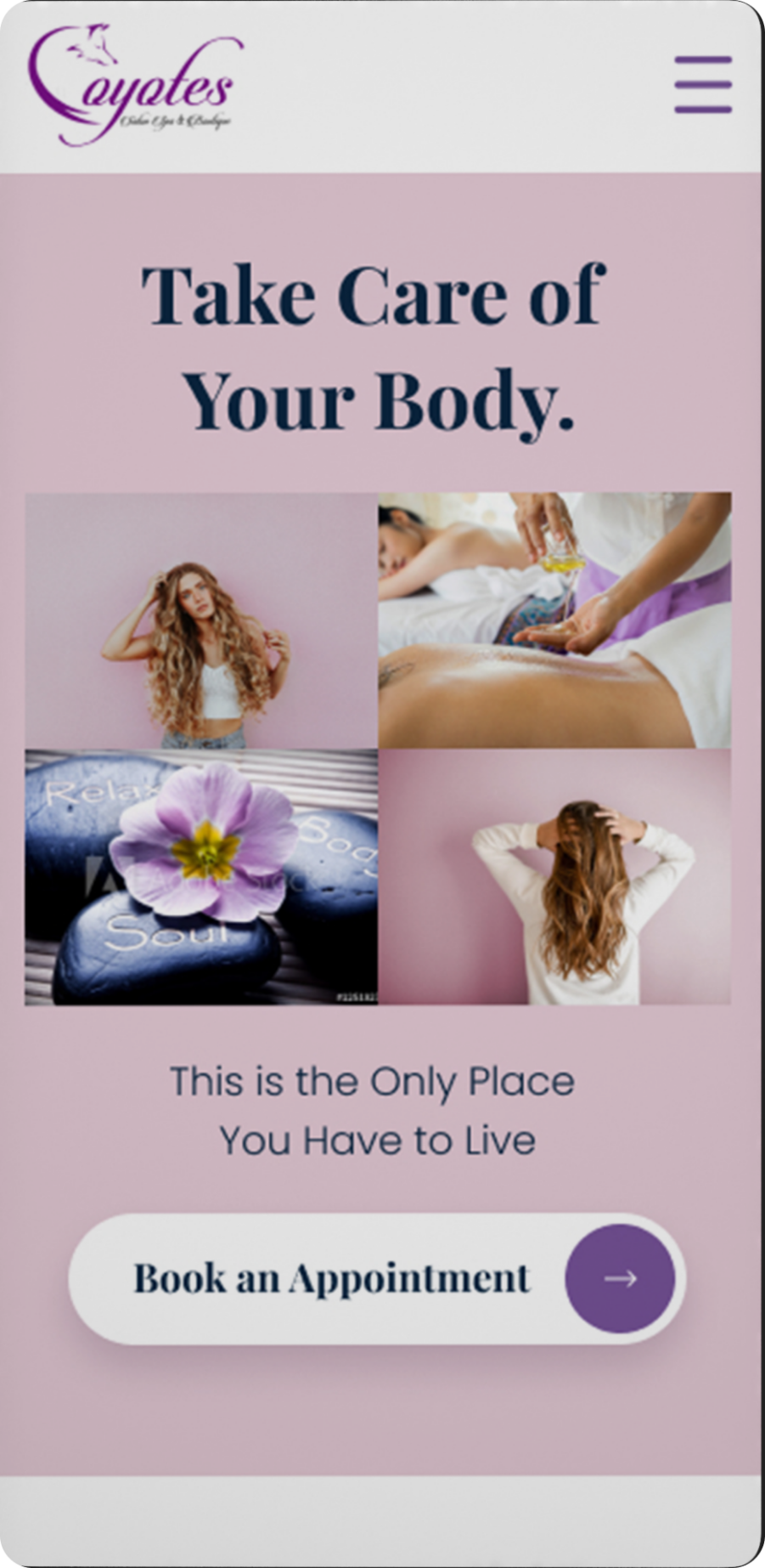 Top Web Design & Mobile App Development Company Dallas/Plano | Web Loft Designs