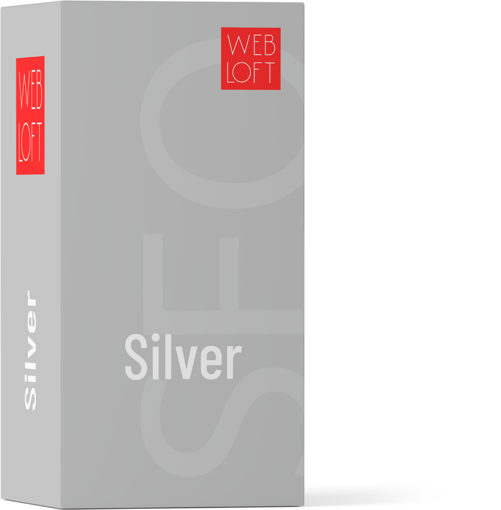 SEO Packages - Web Loft Designs